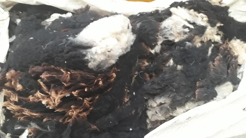 Added extras... – Ewe and Ply